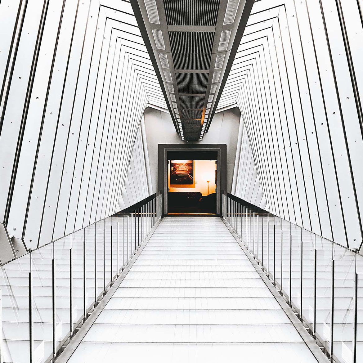 Dillon Shook – rheinkind.design.